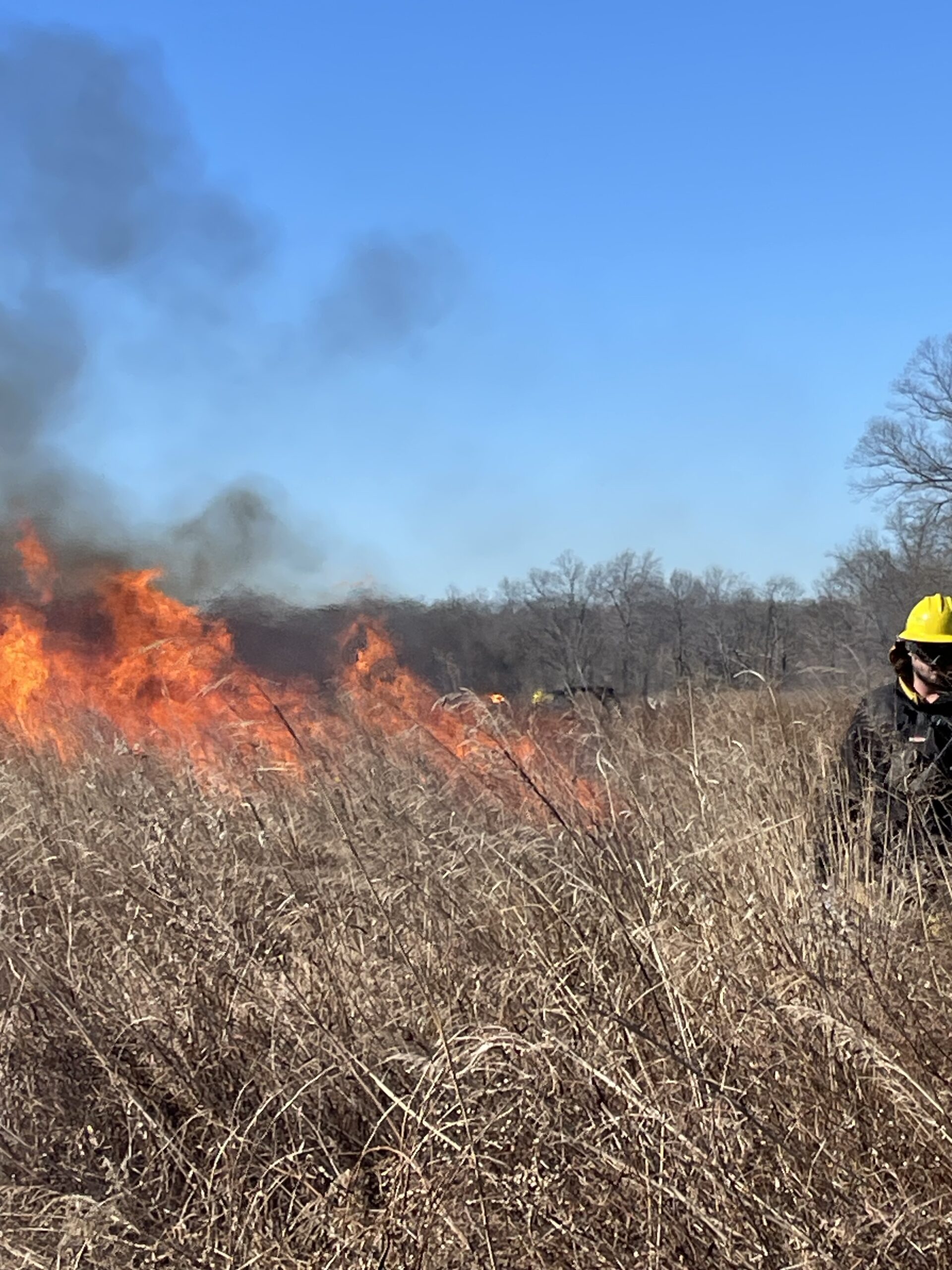 Delaware Prescribed Fire Council